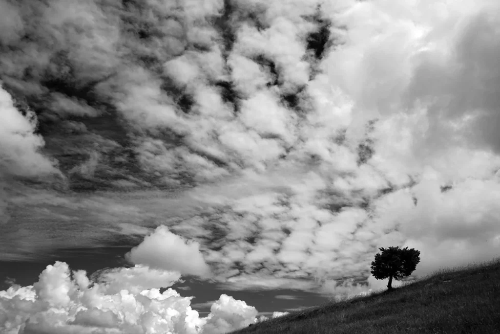 La fotografia di Giorgio Cutini in mostra ad Ancona - Fondazione Marche ...